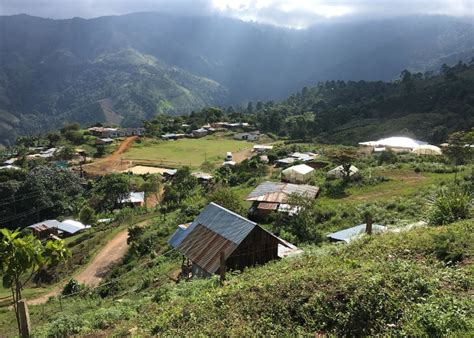 Alerta Por Enfrentamientos Armados En Buenos Aires Cauca