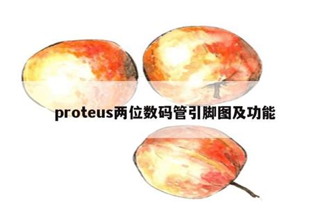 Proteus两位数码管引脚图及功能 Proteus相关 Proteus8软件proteus软件