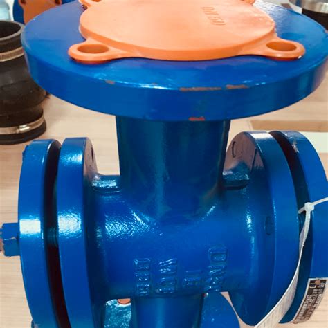 Rayhot Ptfe 다이어프램 밸브 의 고품질 Rayhot Ptfe 다이어프램 밸브