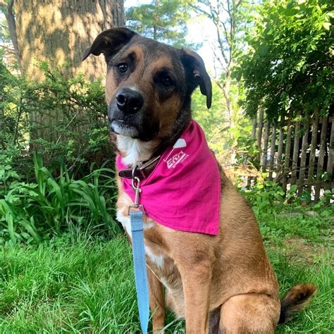 Zach Bronstein Youtube