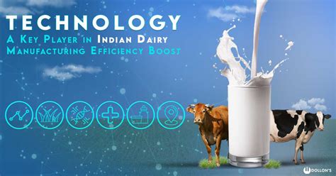 Technology In Indian Dairy Industry To Beckon A Third White Revolution