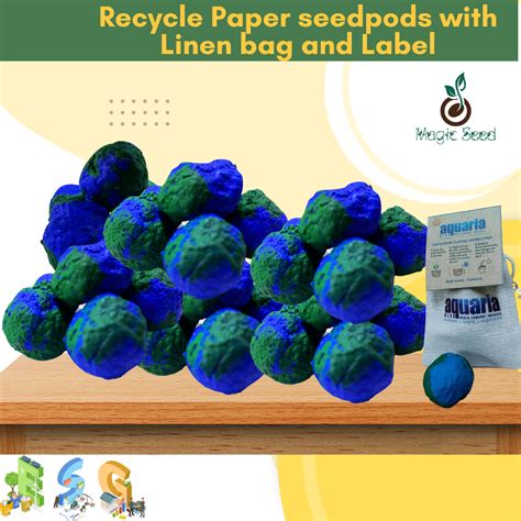 Earth Seed Pods With Packaging Moq 10 Magic Seed My Earth Seed Pods With Packaging Moq 10 Magic Seed My