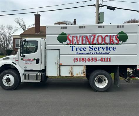 Expert Tree Trimming Tree Pruning Services Sevenzocks