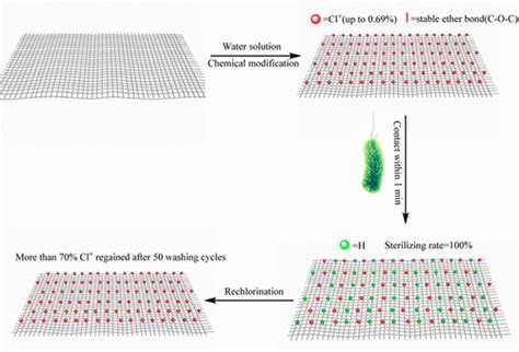 包含稳定的无环n 哈拉明基团的耐用抗菌棉织物industrial And Engineering Chemistry Research X Mol