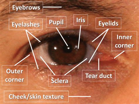 Face Liveness Articles — Antispoofing Wiki
