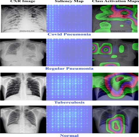 Visualizing The Features Learned By The Cnns 2 Download Scientific