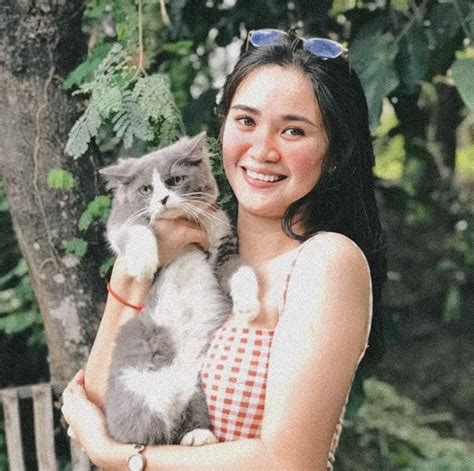 Cats For Rehoming Pampanga Siamesehimalayanragdolls