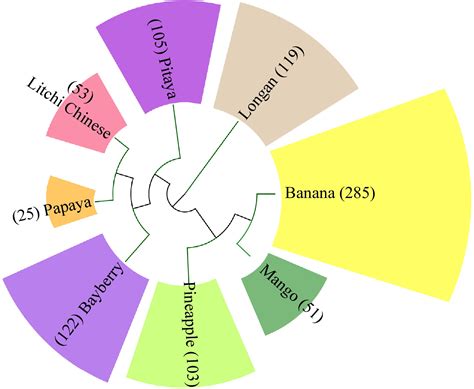 Research Progress On The Myb Transcription Factors In Tropical Fruit