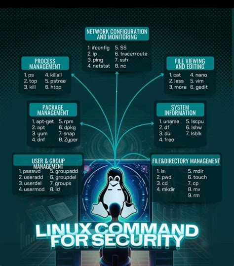 Zubair Akram On Linkedin Linux Commands Techtips Careergrowth Learningjourney