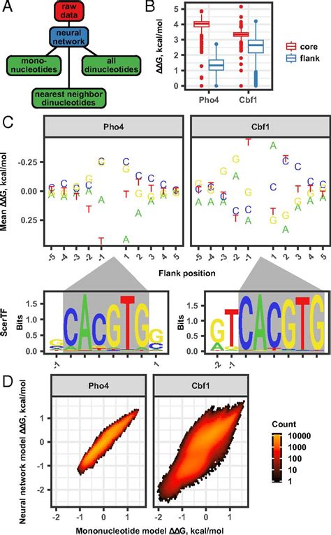 Transcription Factor Binding Site