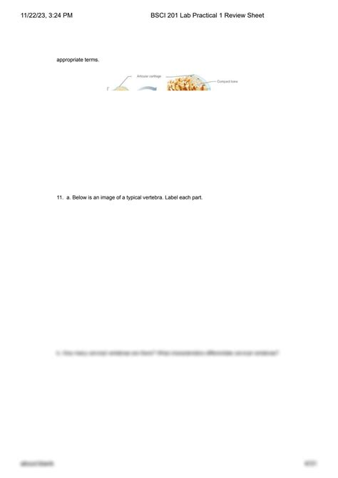 SOLUTION Human Anatomy Lab Practical 1 Review Sheet Studypool