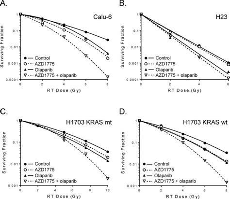 Parp1 Trapping And Dna Replication Stress Enhance Radiosensitization With Combined Wee1 And Parp