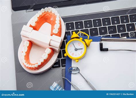 Modelo Dental Saludable Con Herramienta Dental Y Reloj Despertador En