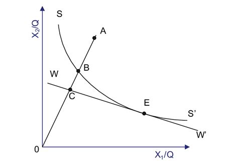 Technical Allocative And Economic Efficiency Download Scientific Diagram