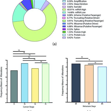 Genomic Transcriptomic And Proteomic Alterations A A Donut Chart