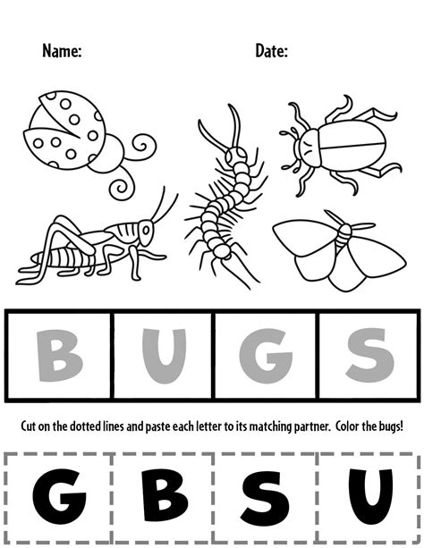 Free Bug Worksheets For Preschool Bug Activities Bugs Preschool