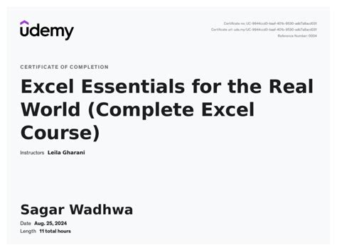 sagar wadhwa on linkedin excel careergrowth continuouslearning