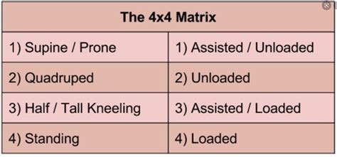 Selective Functional Movement Assessment Flashcards Quizlet