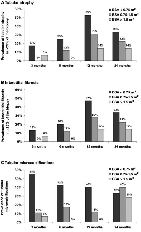 Point Prevalence Of Moderate To Severe Tubular Atrophy Tubular Atrophy