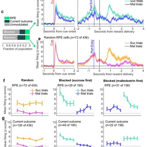 Vp Rpe Neuron Signaling Adapts Across Reward Blocks A A White Noise Download Scientific