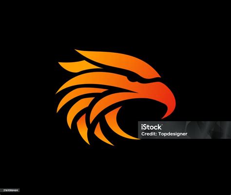 독수리 로고 아이콘 디자인 팔콘 머리 벡터 스톡 일러스트레이션 매과에 대한 스톡 벡터 아트 및 기타 이미지 매과 볼테르 인조 갈고리 발톱 Istock