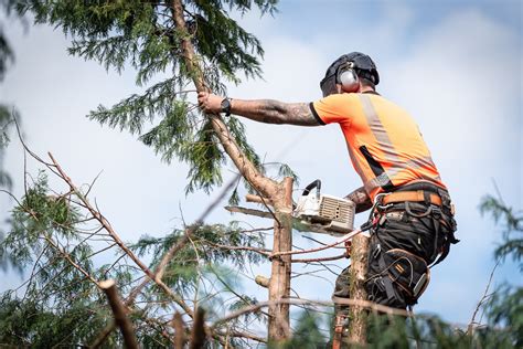 Breaking Bad Habits With Chainsaws — Bartlett Arborist Supply