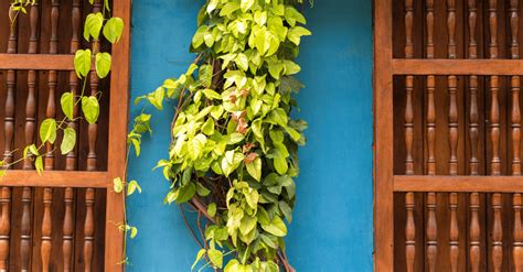 What Is The Difference Between A Free Ssl Certificate And A Paid Ssl Certificate