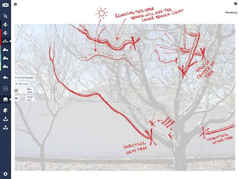 A Guide To Pruning Fruit Trees • Concepts App • Infinite Flexible