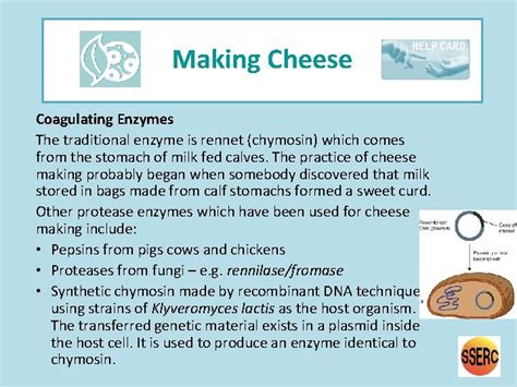 Making Cheese To Make Cheese You Need Milk