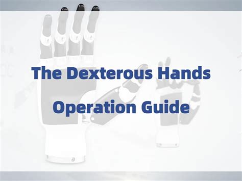 The Dexterous Hands Inspire