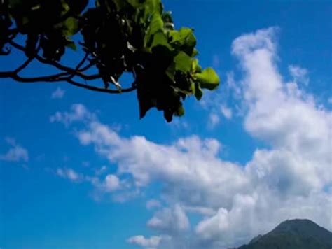 Презентация Область знаний музыка Тип материала презентации учебные