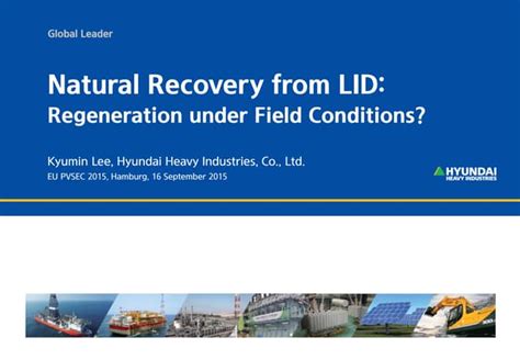 Natural Recovery From Lid Regeneration Under Field Conditions Pdf