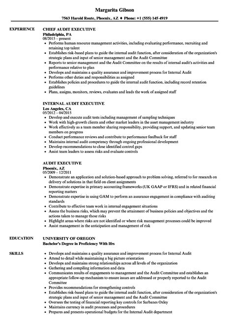 Audit Executive Resume Samples Velvet Jobs