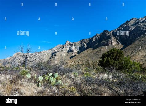 Massive Limestone Formation Of El Capitan In Guadalupe Mountains