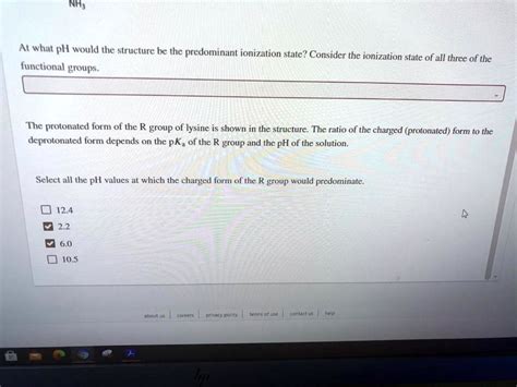 Nh At Whut Ph Would The Structure Be The Predominant Ionization State