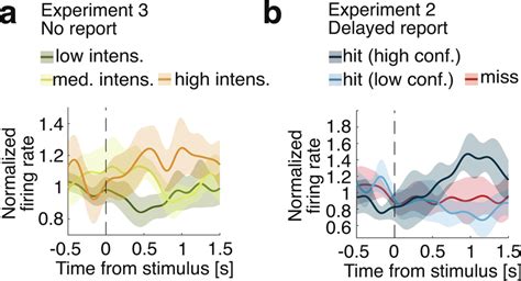 Average Firing Rates Of Responsive Neurons Firing Rates Were Normalized Download Scientific