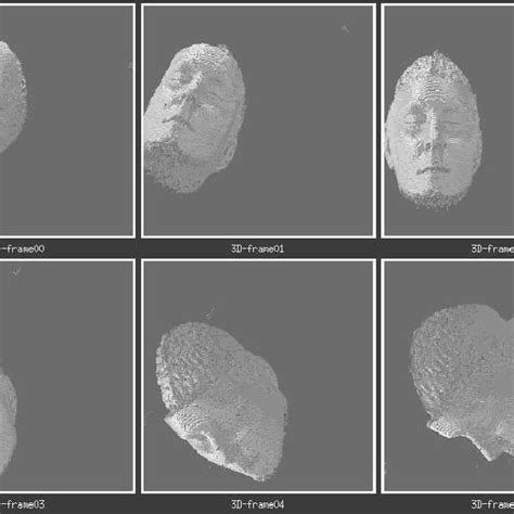 Projection Plane And Voxel Shadows 2 Volume Processing Algorithms