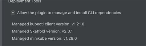 Issue When Deploying Through Intellij On Version 22111 221 · Issue