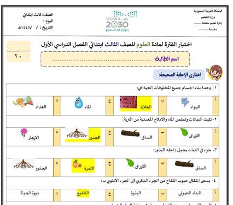 اختبار علوم محلول ثالث ابتدائي الفصل الأول أ أمل الزهراني بداية