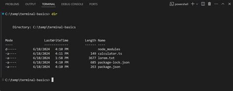 Vs Code 终端完全指南 技术栈
