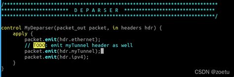 【p4lang】p4数据平面编程实验basic tunnel basic tunnel csdn博客
