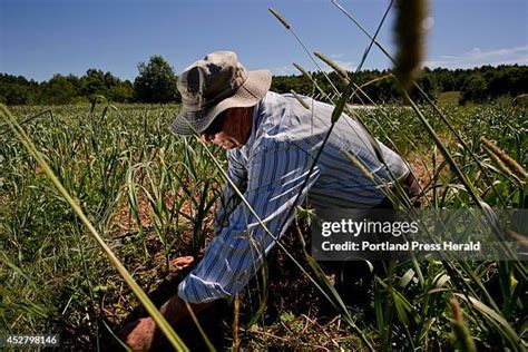 Robert Lemire Photos And Premium High Res Pictures Getty Images