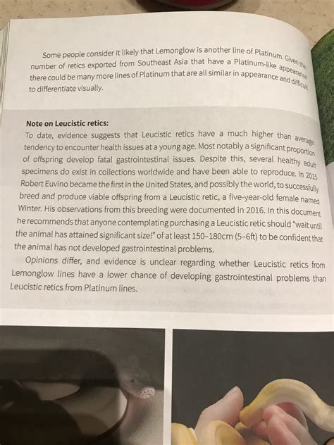 Morph Issues [reticulated Pythons] Reticulated Pythons Morphmarket Reptile Community