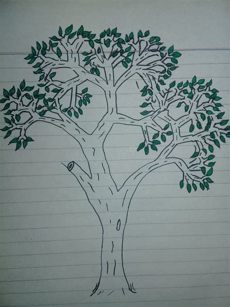 Scetch Tree Stock Image Image Of Green Tree Scetch 122549903
