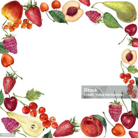 수채화 여름 과일과 열매 프레임 카드입니다 손으로 그린 과일 열매와 잎 흰색 배경에 고립 된 국경 식물 디자인 건강한 식생활에 대한 스톡 벡터 아트 및 기타 이미지 Istock