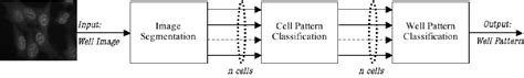 Figure 1 From Early Experiences In The Staining Pattern Classification