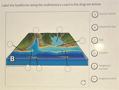 Label The Landforms Along The Sedimentary Coast In The Diagram Below A