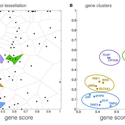Autoimmune Associated Clusters Identified By The Voronoi Tessellation Download Scientific