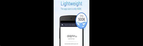Download And Run Dolphin Zero Incognito Browser On Pc And Mac Emulator