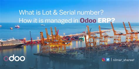 lot and serial number how it is managed in business and erp system